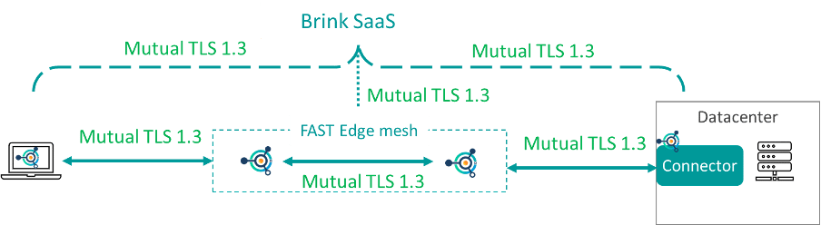 Advanced TLS 1.3 Security for Superior ZTNA